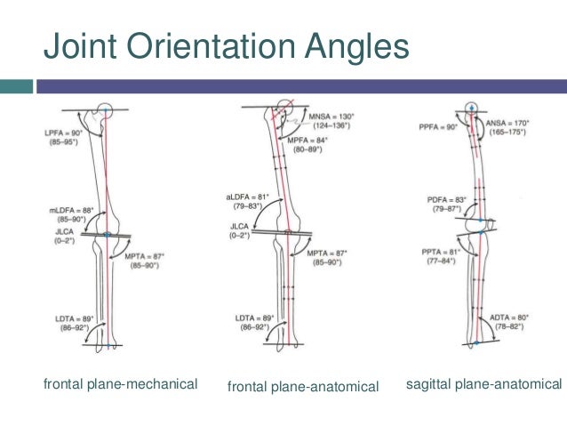 Normal Limb Alignment