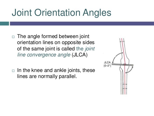 Normal limb alignment