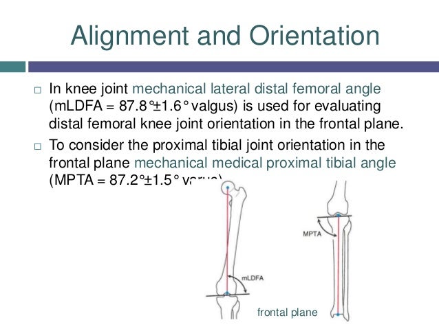 Normal limb alignment