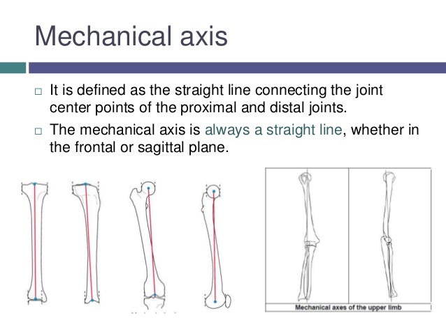 Normal limb alignment