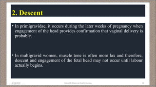 Comprehensive Overview of the Mechanism of Normal Labor in Maternal ...