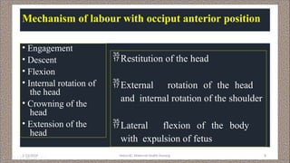 Comprehensive Overview of the Mechanism of Normal Labor in Maternal ...