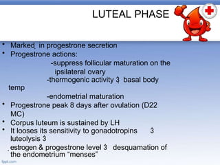 normal_menstrual_cycle_physijdjeology.PPTX