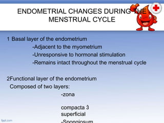 normal_menstrual_cycle_physijdjeology.PPTX