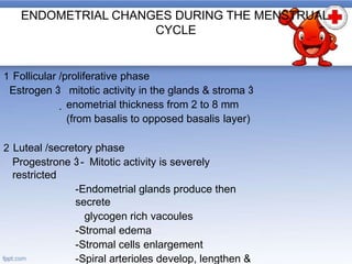 normal_menstrual_cycle_physijdjeology.PPTX