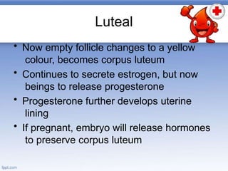 normal_menstrual_cycle_physijdjeology.PPTX