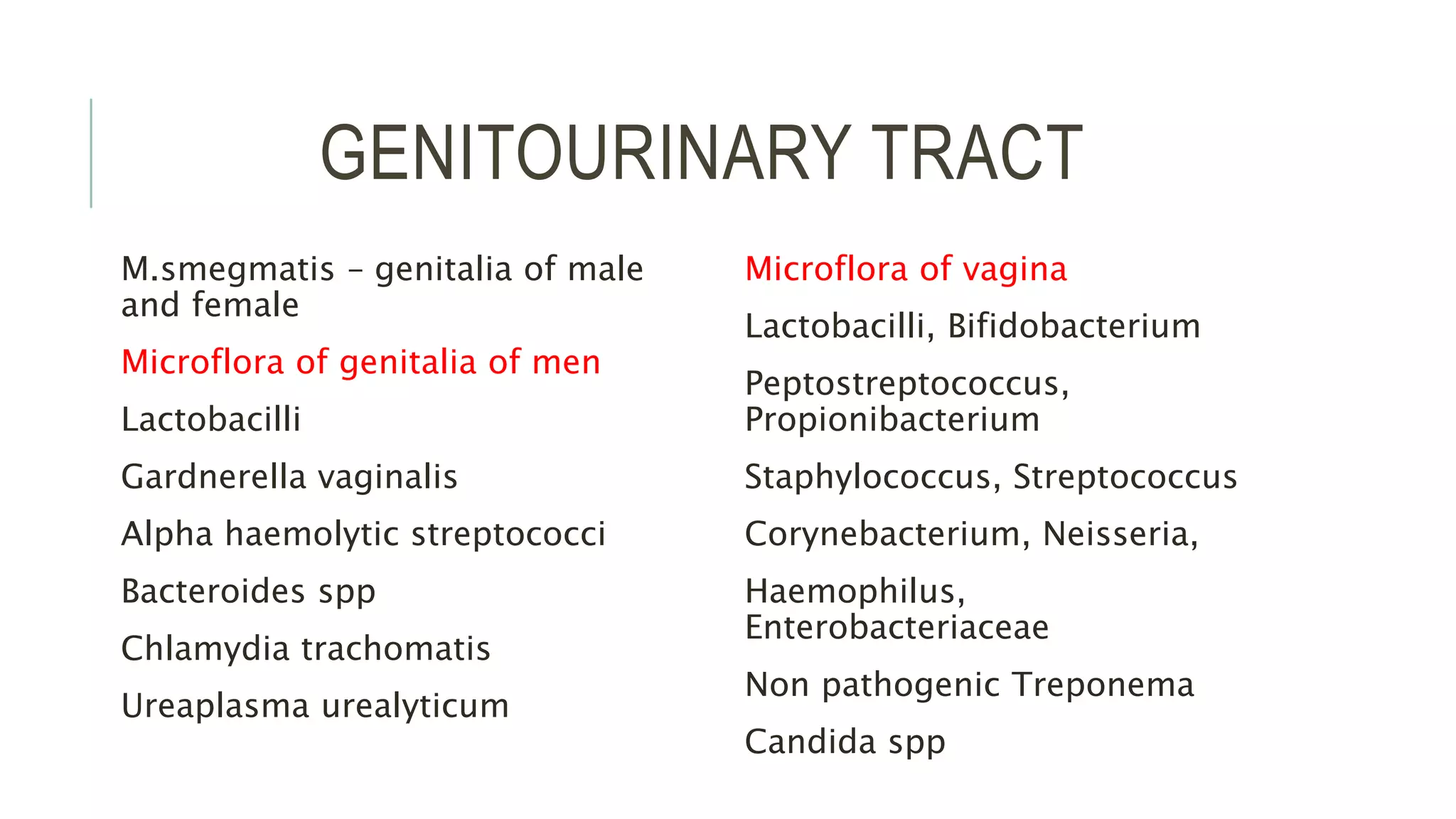 Normal microbial flora | PPTX