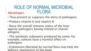 Normal microbial flora | PPTX