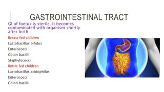Normal microbial flora | PPTX