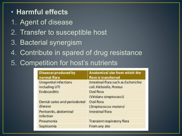 Normal microbial flora | PPT