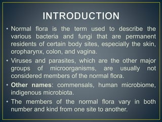 Normal microbial flora | PPTX
