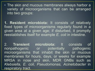 Normal microbial flora | PPTX