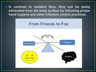 Normal microbial flora | PPTX