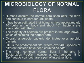 Normal microbial flora | PPTX