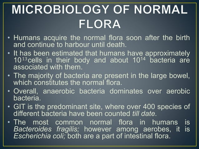Normal microbial flora | PPT