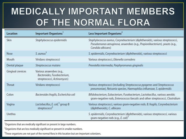 Normal microbial flora | PPT