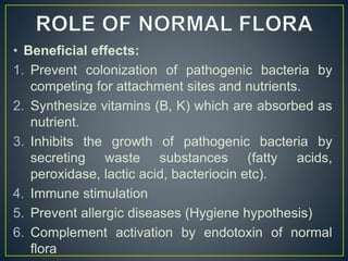 Normal microbial flora | PPTX