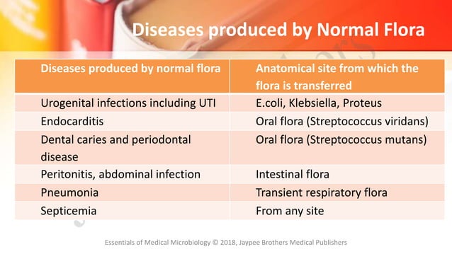 Normal Microbial Flora of Human Body.pptx