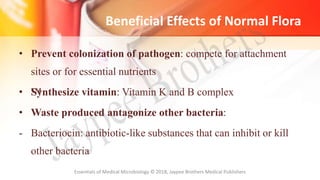 Normal Microbial Flora of Human Body.pptx