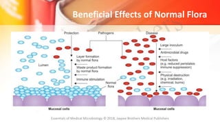 Normal Microbial Flora of Human Body.pptx