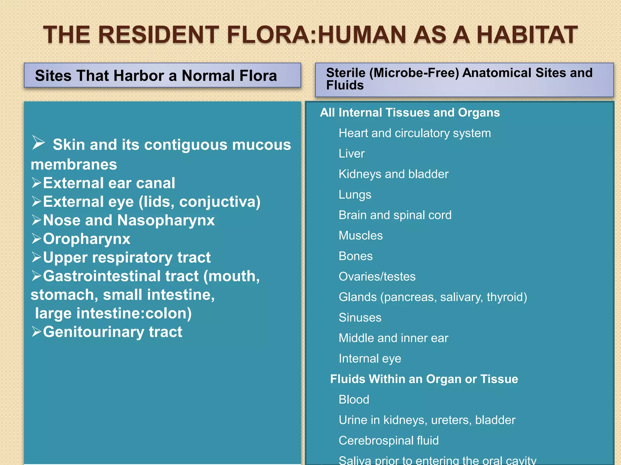 NORMAL MICROBIAL FLORA.pptx