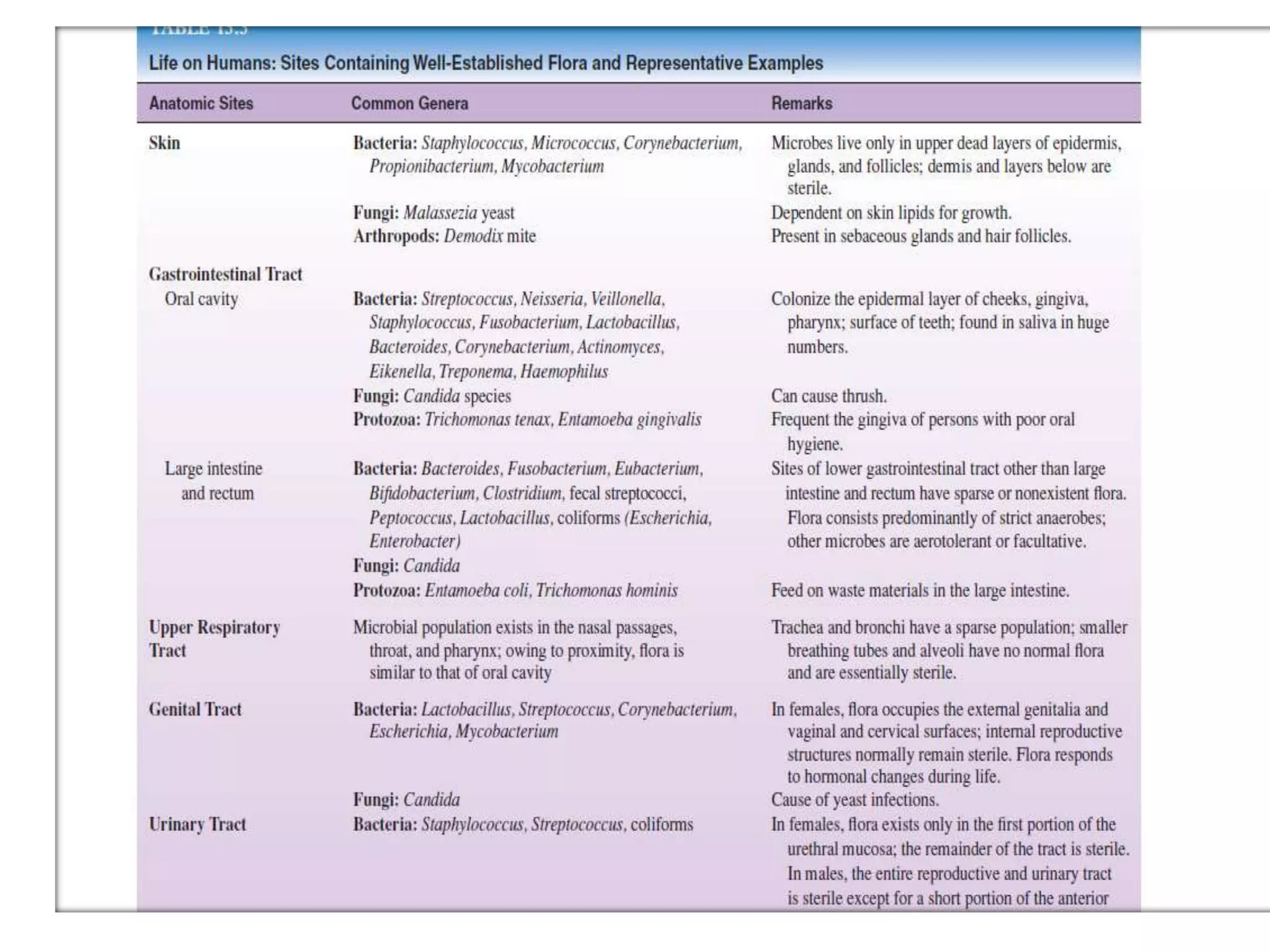 NORMAL MICROBIAL FLORA.pptx