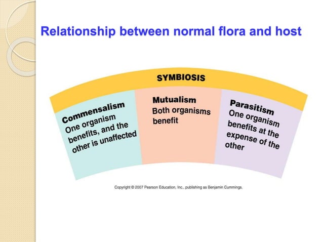 NORMAL MICROBIAL FLORA.pptx
