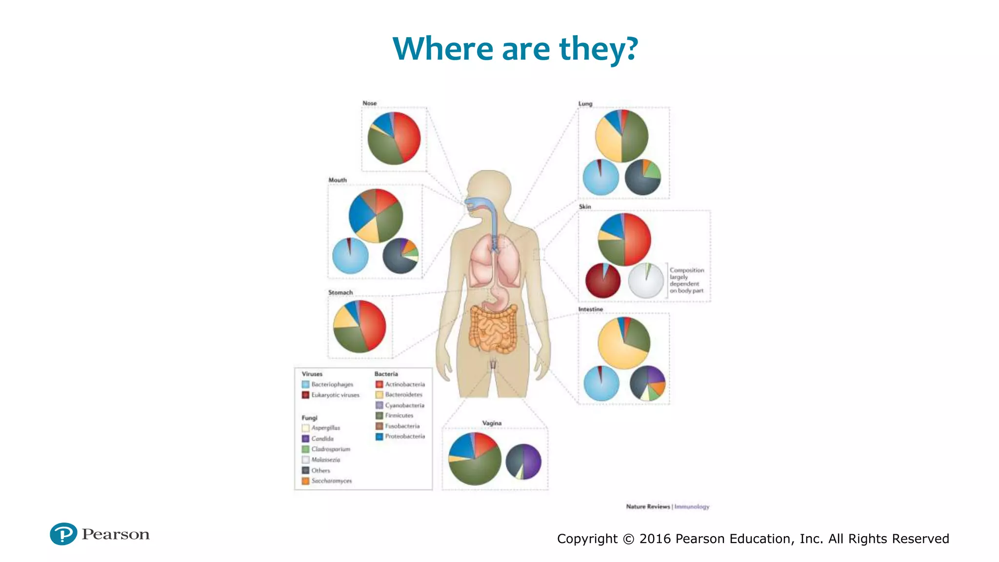 Our relationship with our normal microbiota | PPTX