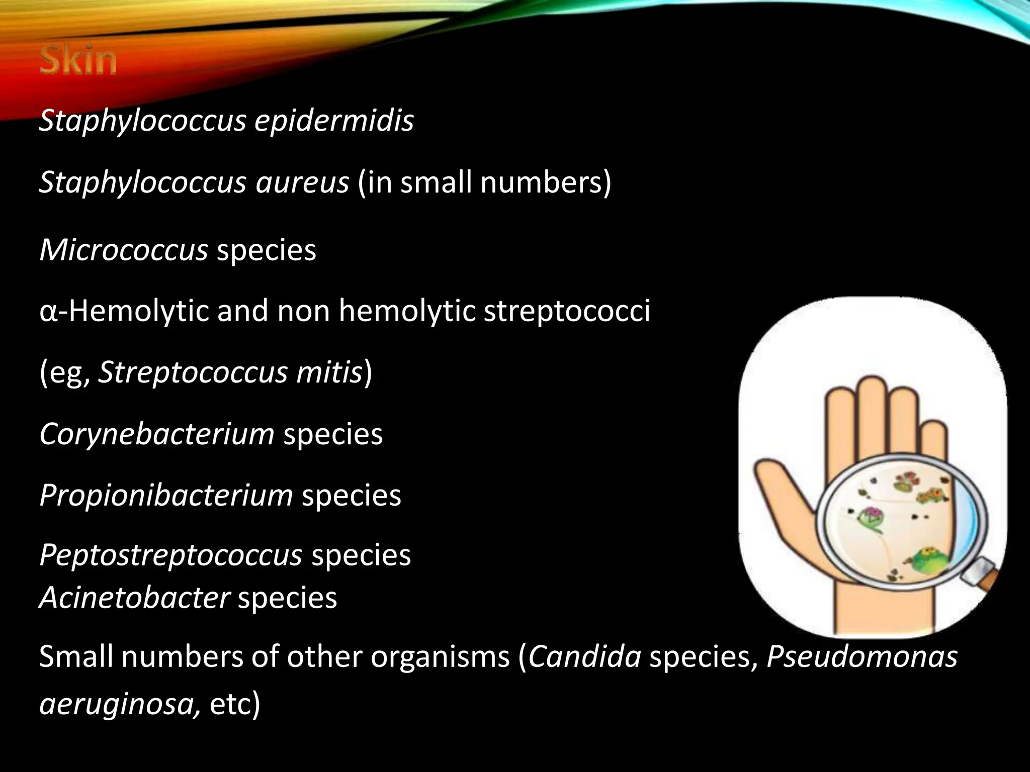 NORMAL HUMAN MICROBIOTA AND TYPES OF MICROBIOTA | PPTX