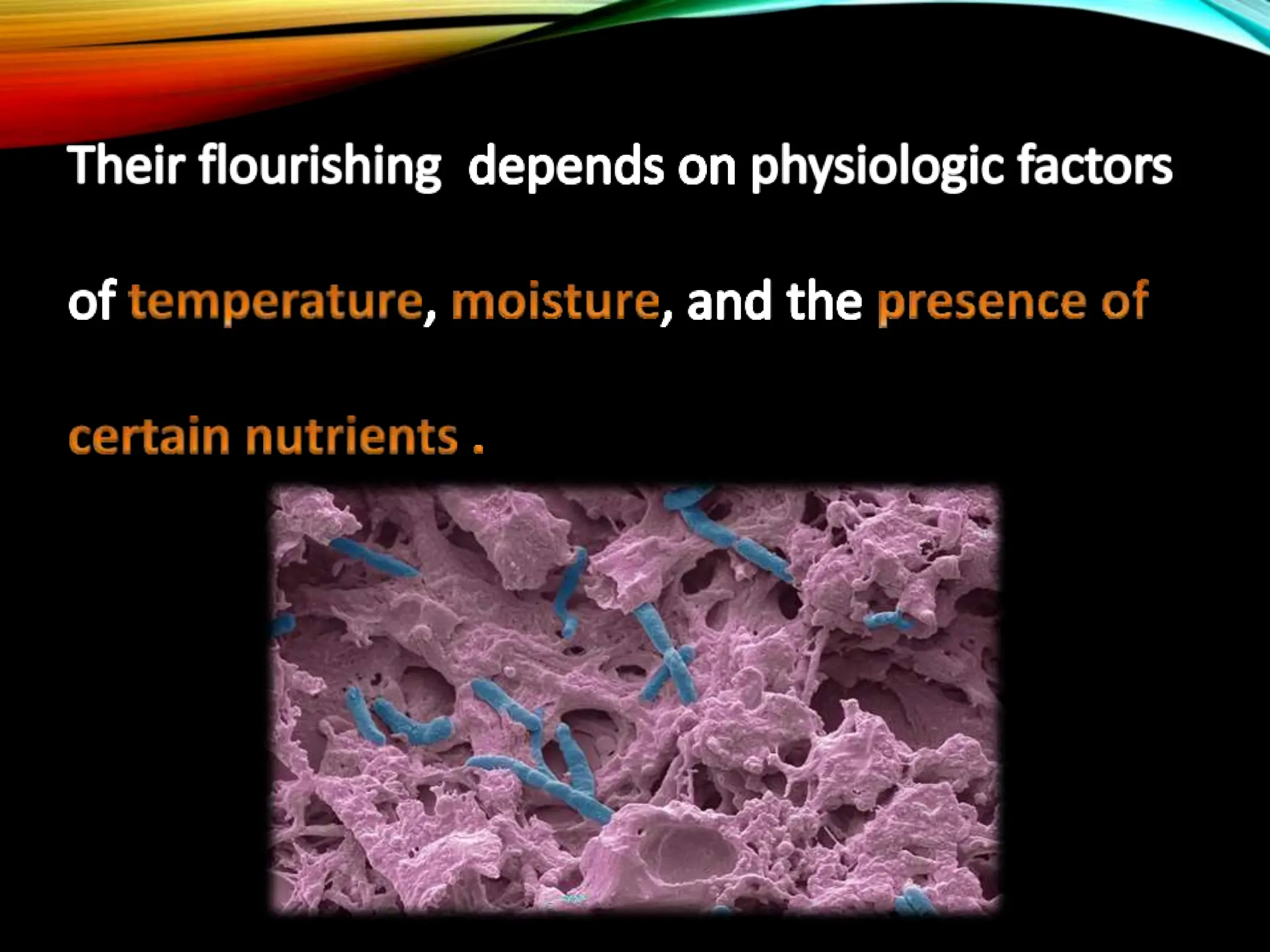 NORMAL HUMAN MICROBIOTA AND TYPES OF MICROBIOTA | PPTX