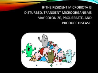 NORMAL HUMAN MICROBIOTA AND TYPES OF MICROBIOTA | PPT