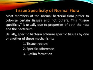 NORMAL HUMAN MICROBIOTA AND TYPES OF MICROBIOTA | PPTX