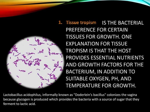 NORMAL HUMAN MICROBIOTA AND TYPES OF MICROBIOTA | PPT