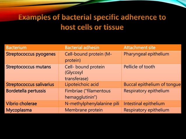 NORMAL HUMAN MICROBIOTA AND TYPES OF MICROBIOTA | PPTX