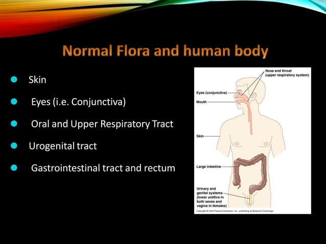 NORMAL HUMAN MICROBIOTA AND TYPES OF MICROBIOTA | PPTX