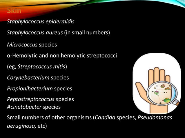 NORMAL HUMAN MICROBIOTA AND TYPES OF MICROBIOTA | PPTX
