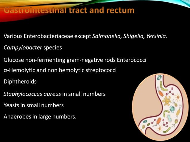 NORMAL HUMAN MICROBIOTA AND TYPES OF MICROBIOTA | PPTX