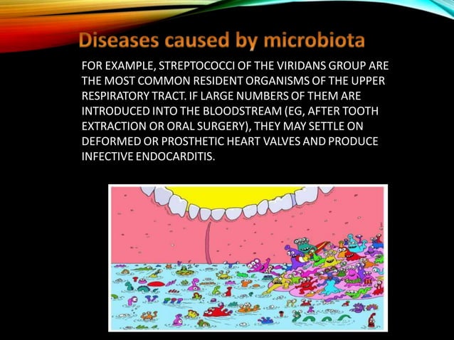 NORMAL HUMAN MICROBIOTA AND TYPES OF MICROBIOTA | PPTX
