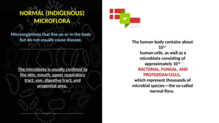 NORMAL MICROBIOTA / HUMAN NORMAL FLORA / NORMAL MICROFLORA | PPTX