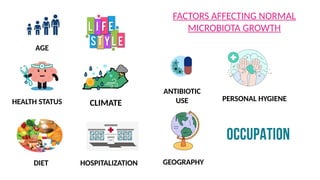 NORMAL MICROBIOTA / HUMAN NORMAL FLORA / NORMAL MICROFLORA | PPTX