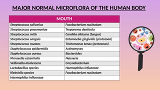 NORMAL MICROBIOTA / HUMAN NORMAL FLORA / NORMAL MICROFLORA | PPTX