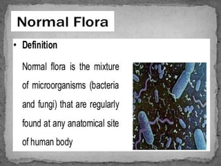Normal microflora | PPT