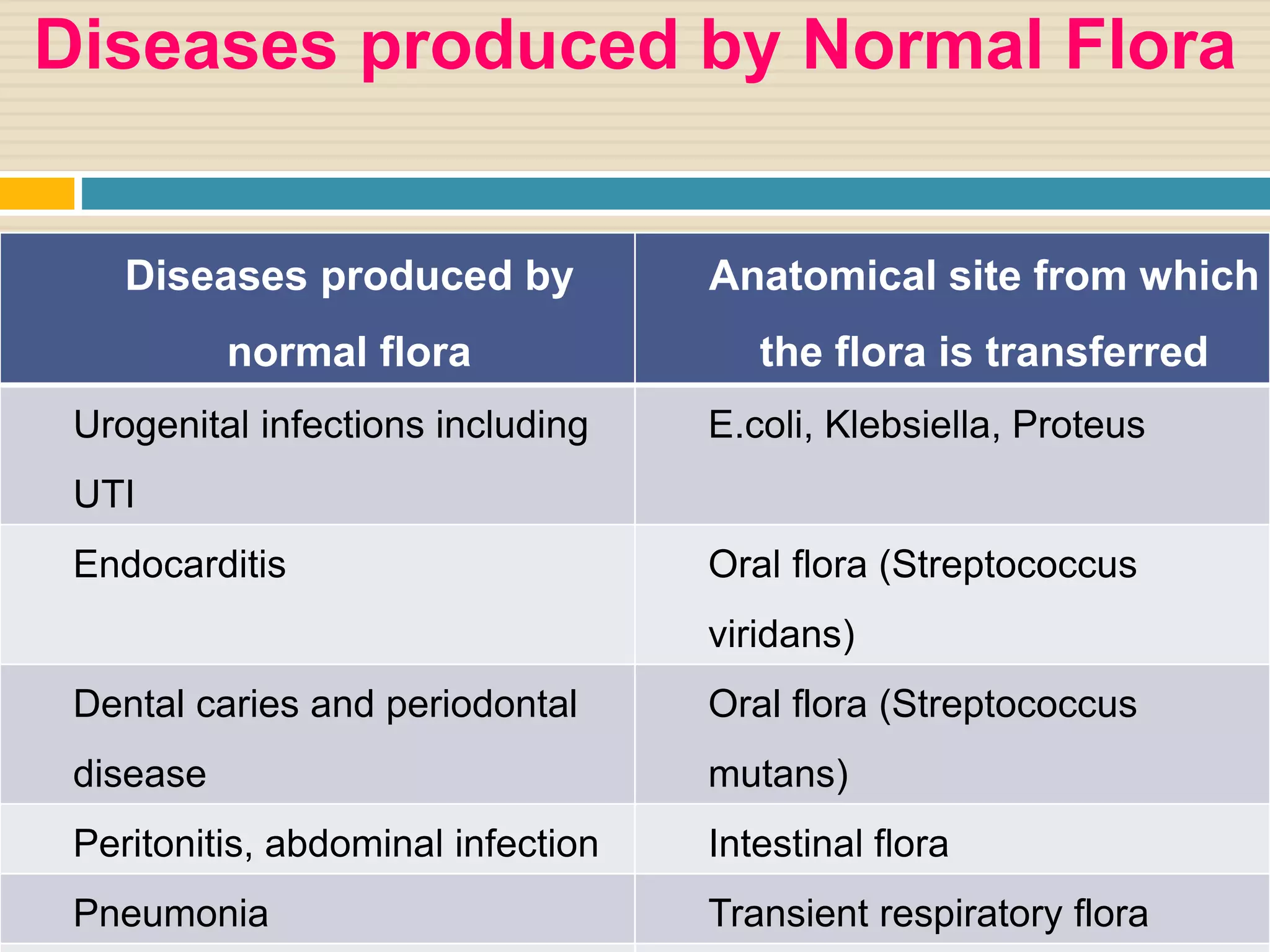 Normal MicroFlora | PPTX