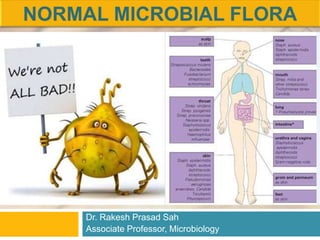 Normal MicroFlora | PPTX
