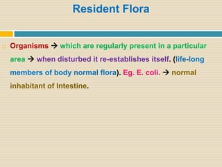 Normal MicroFlora | PPTX