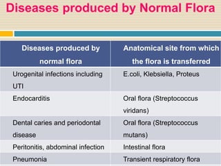 Normal MicroFlora | PPT