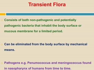 Normal MicroFlora | PPT