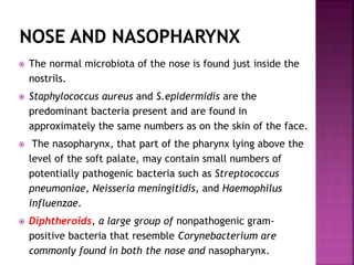Normal microflora of human body | PPTX