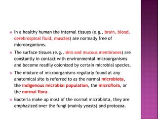 Normal microflora of human body | PPTX