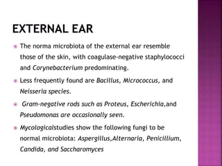 Normal microflora of human body | PPTX